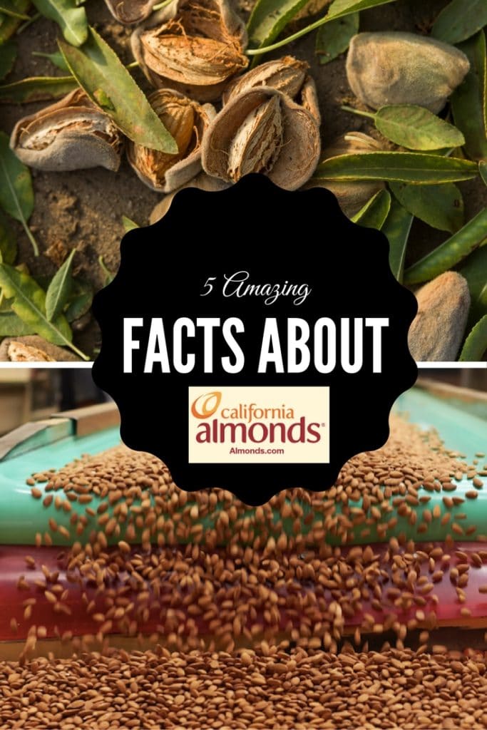 Almond Recipe and Surpising Almond Nutrition Facts